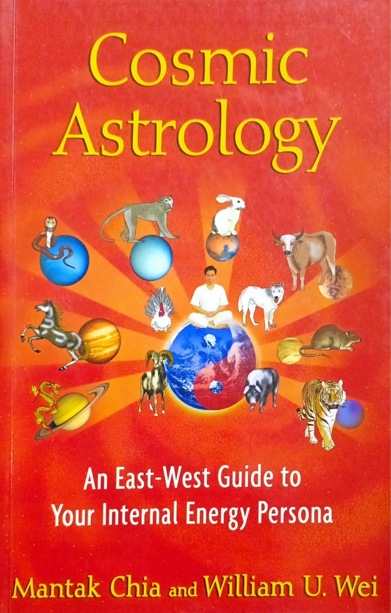 Cosmic Astrology: An East West Guide to Your Internal Energy Persona ...