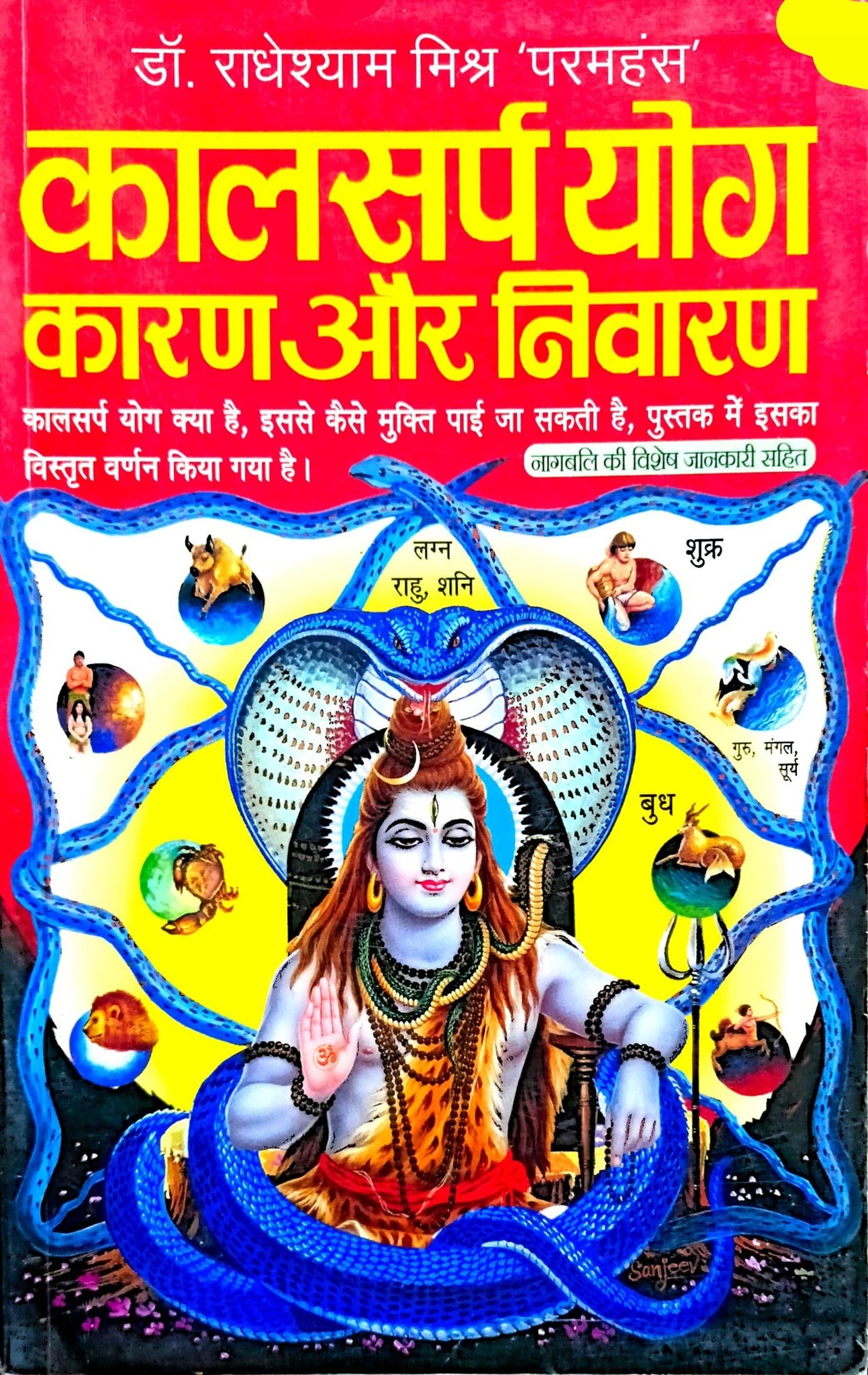 Kalsarp Yog: Karan aur Niwaran [Hindi] – Bookkish India